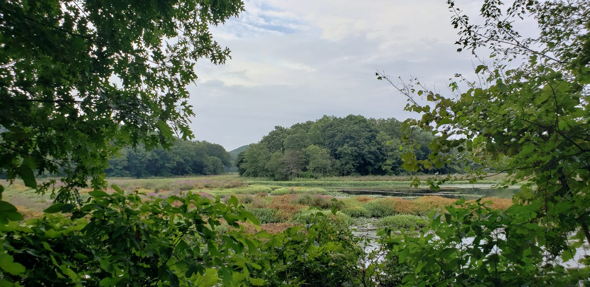 ROADTRIP: Historic Waterloo Village Concept Works - Mr. Local History ...