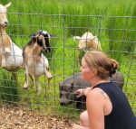 Largest Antique Truck Collection in the World is in Basking Ridge, New ...