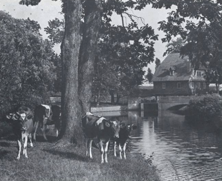 Hey New Jersey – Who Remembers S&H Green Stamps – Mr. Local History Project