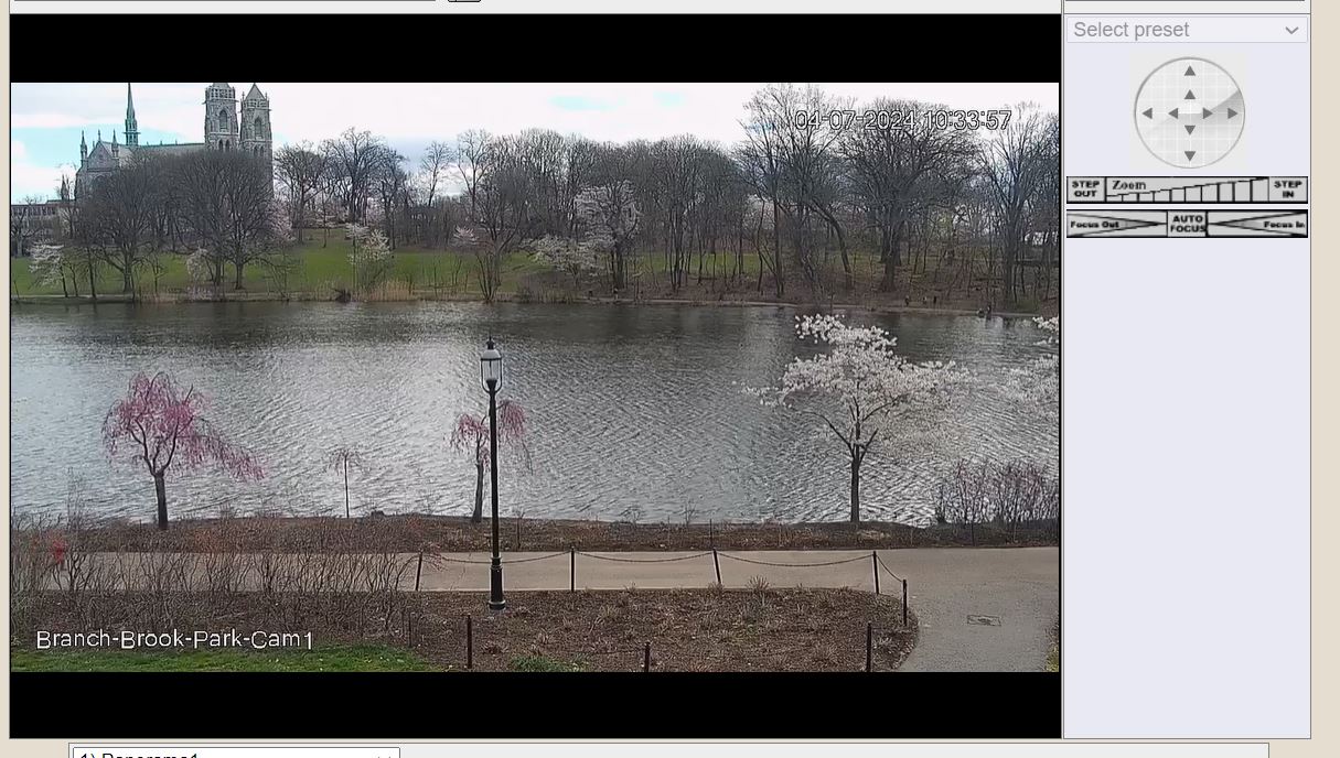 Newark's Branch Brook Park Has More Than Any Other - Mr. Local History ...