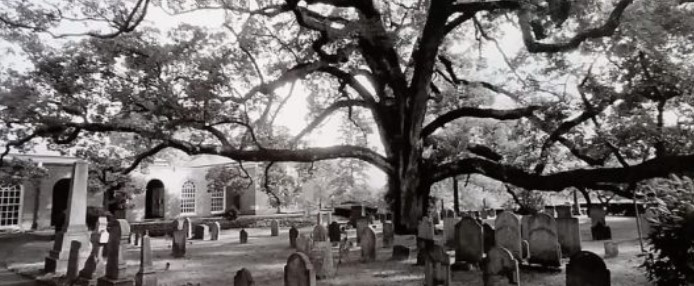 Basking Ridge Oak Tree Memories Archives - Mr. Local History Project